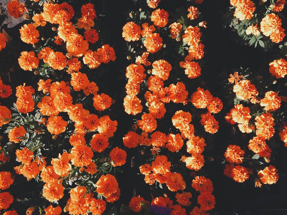 Exercises for Incontinence – Knix